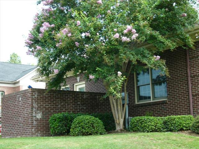 Dr. Austin Meares, DMD, Columbia, SC (Medical) - A Cohn Corporation ...