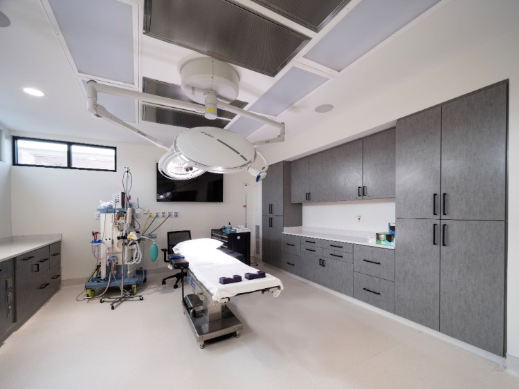 Lefkowitz Plastic Surgery Center, West Columbia, SC (Healthcare) - A ...